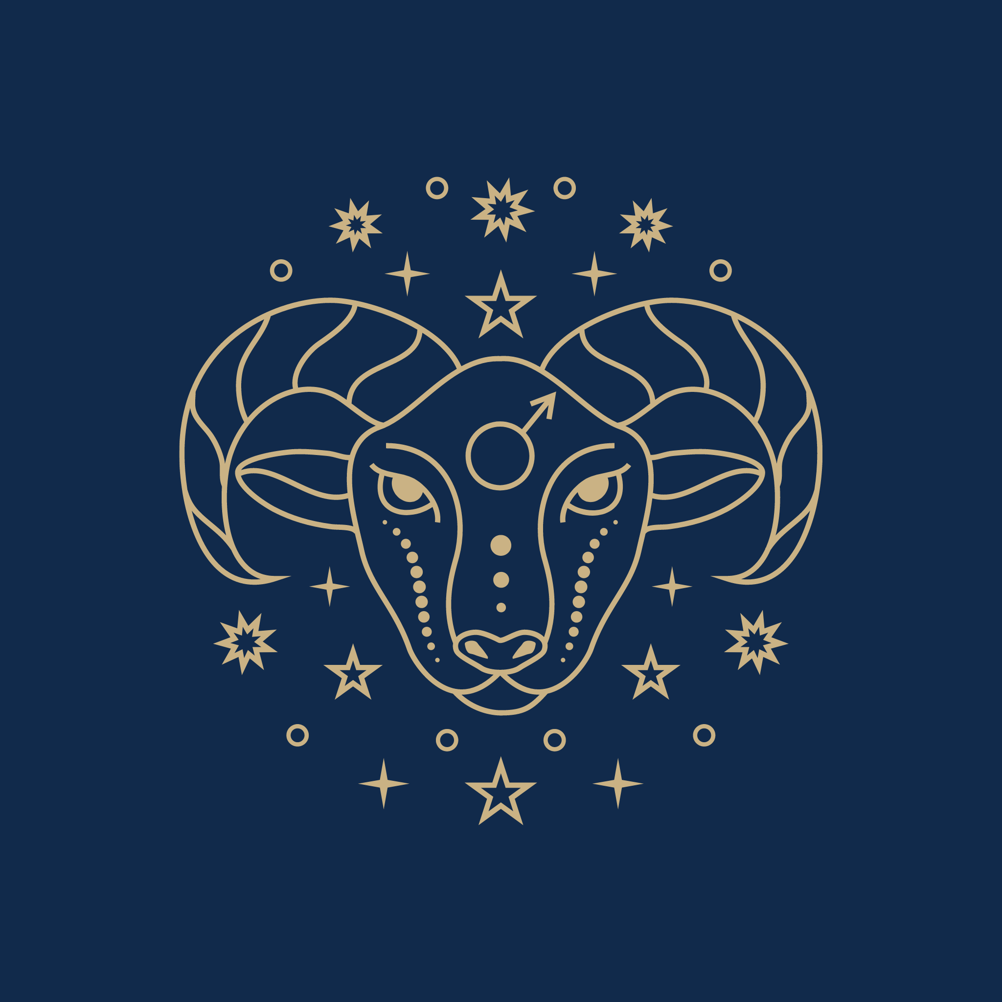 Discover SoulWise: Your Ultimate Destination where wisdom meets soul – Soulwise