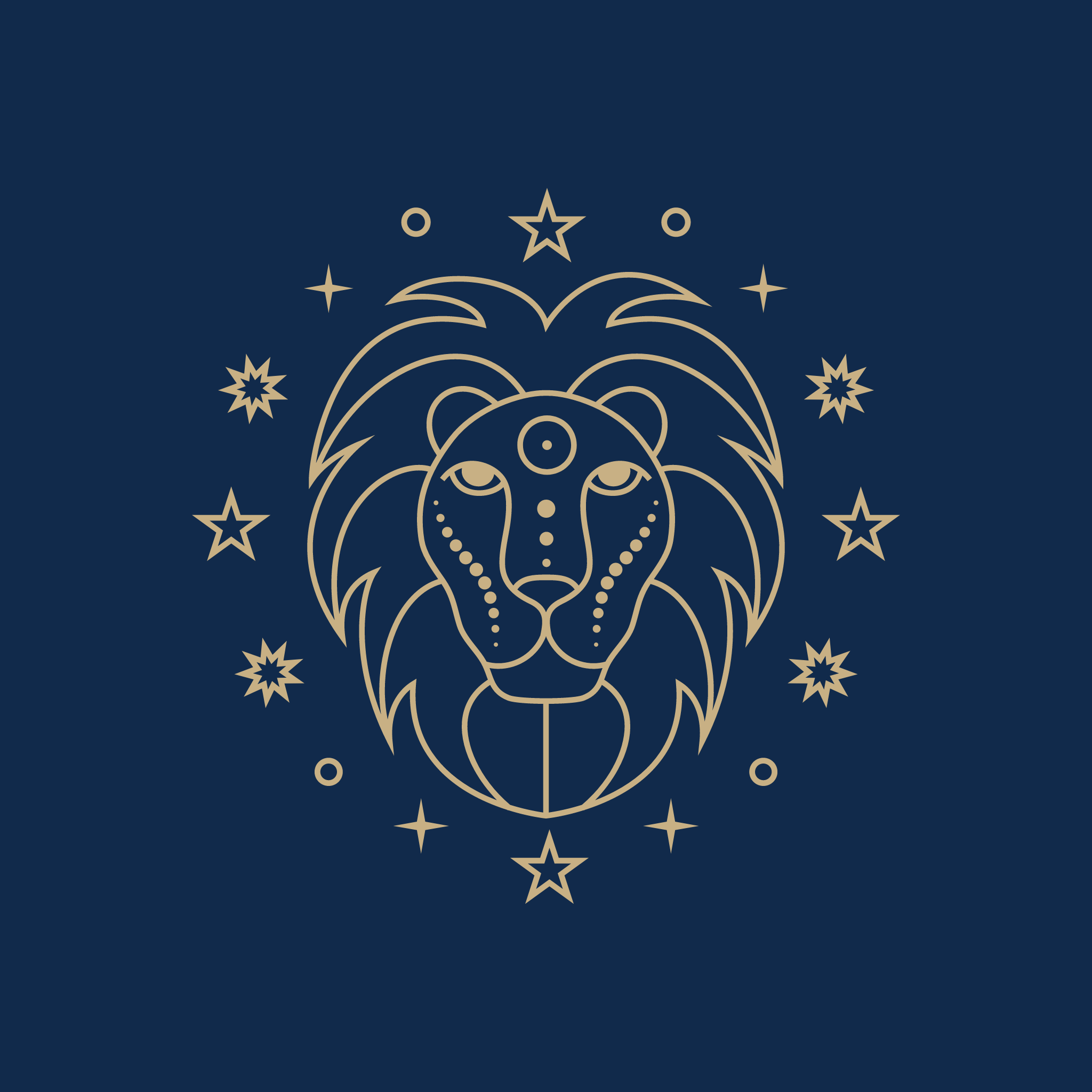 Discover SoulWise: Your Ultimate Destination where wisdom meets soul – soulwise