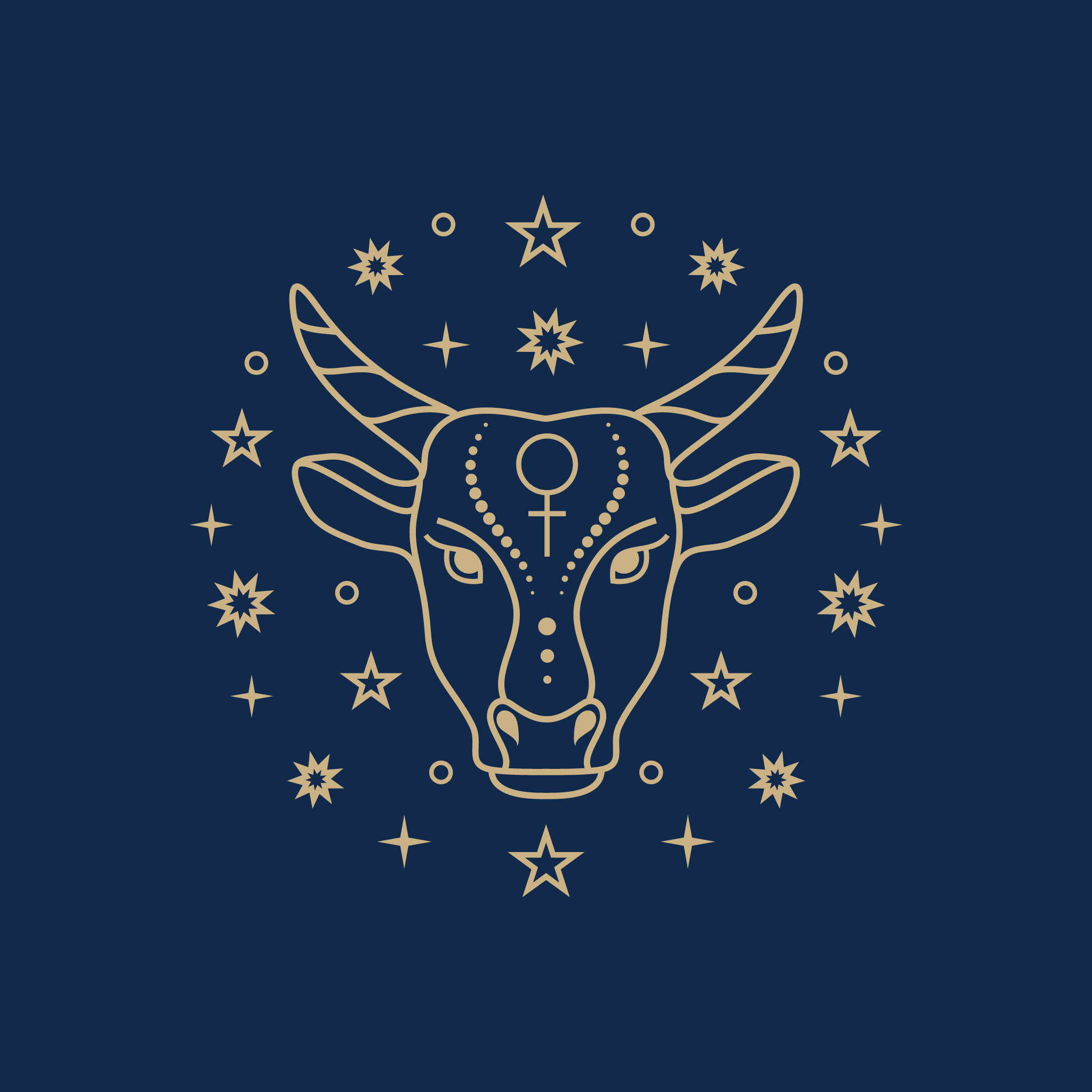 Discover SoulWise: Your Ultimate Destination where wisdom meets soul – Soulwise