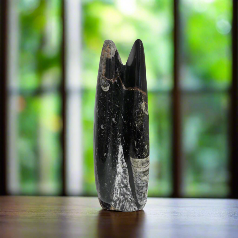 Orthoceras Tower (Kuber Stone) – Soulwise